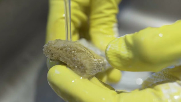 Rengjøring av pensler og maleruller - se filmen her | jem & fix